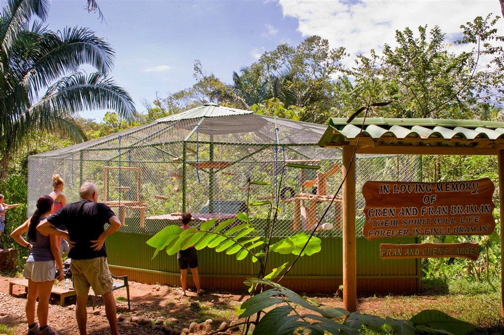 Spider Monkey Cage 2 – The LATA Foundation